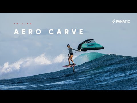 Fanatic Wing Set Aero Carve – Boardwise